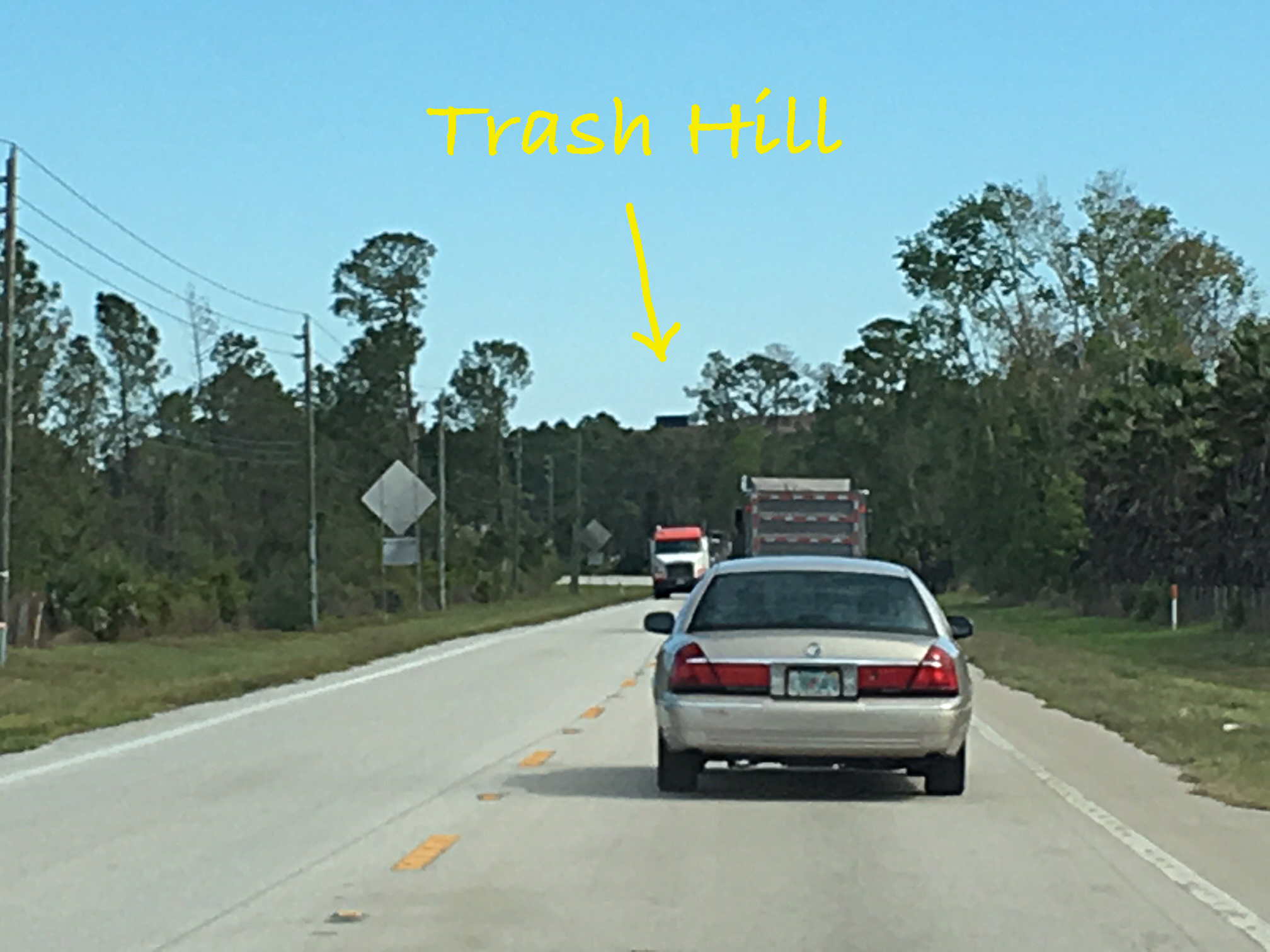 Trash hill – Hydrangeas Blue