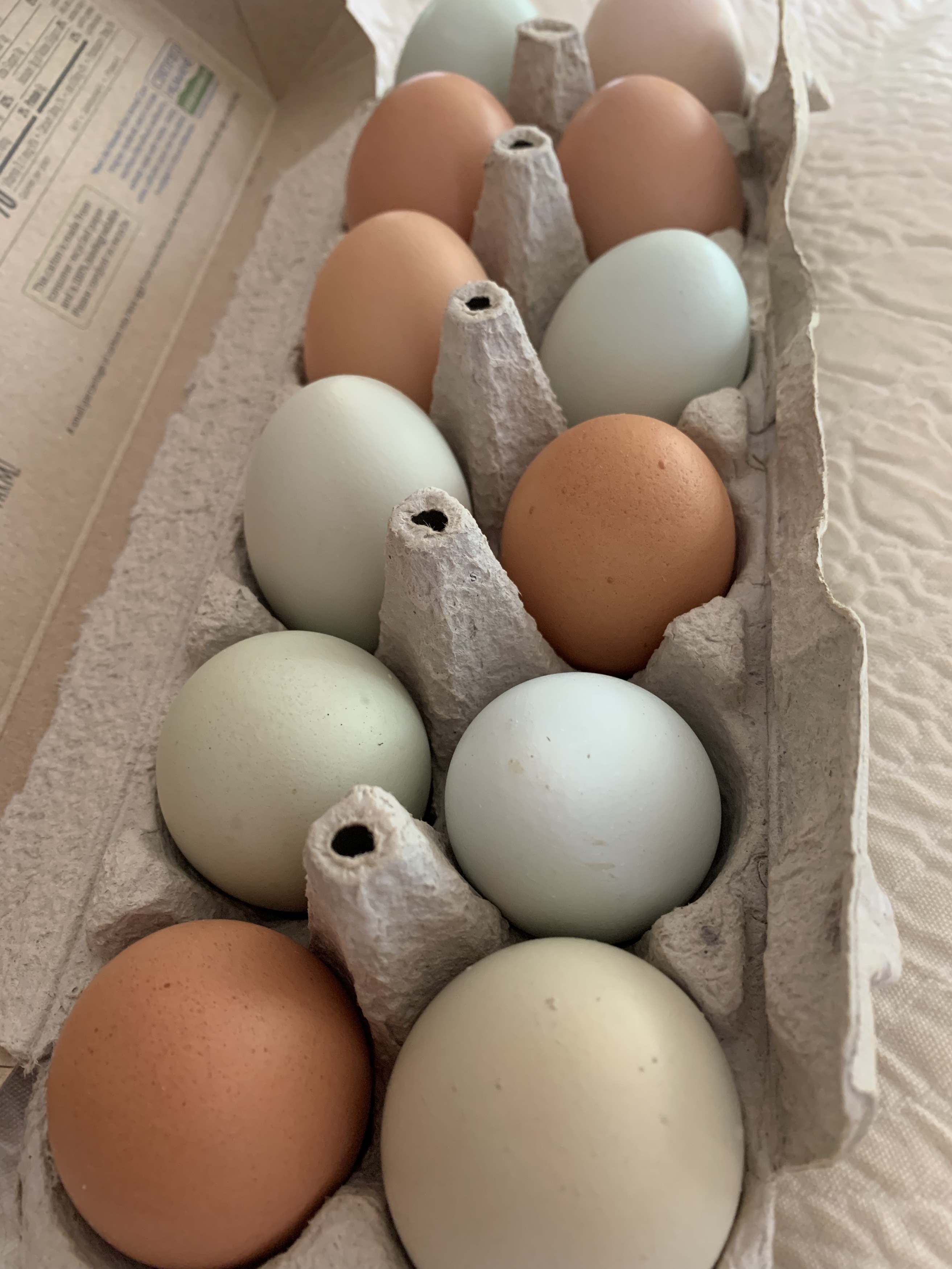 eggs – Hydrangeas Blue
