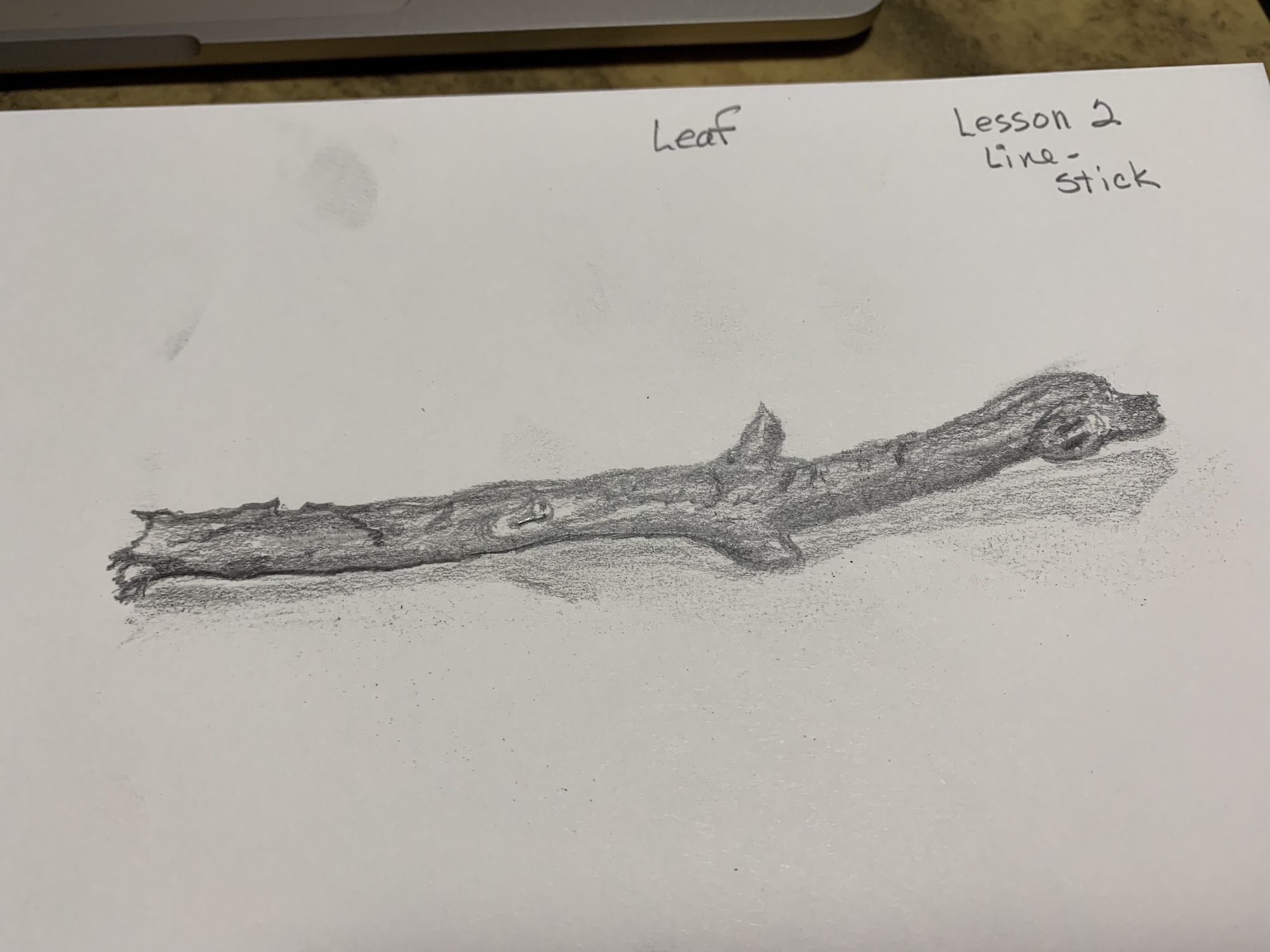 draw stick – Hydrangeas Blue