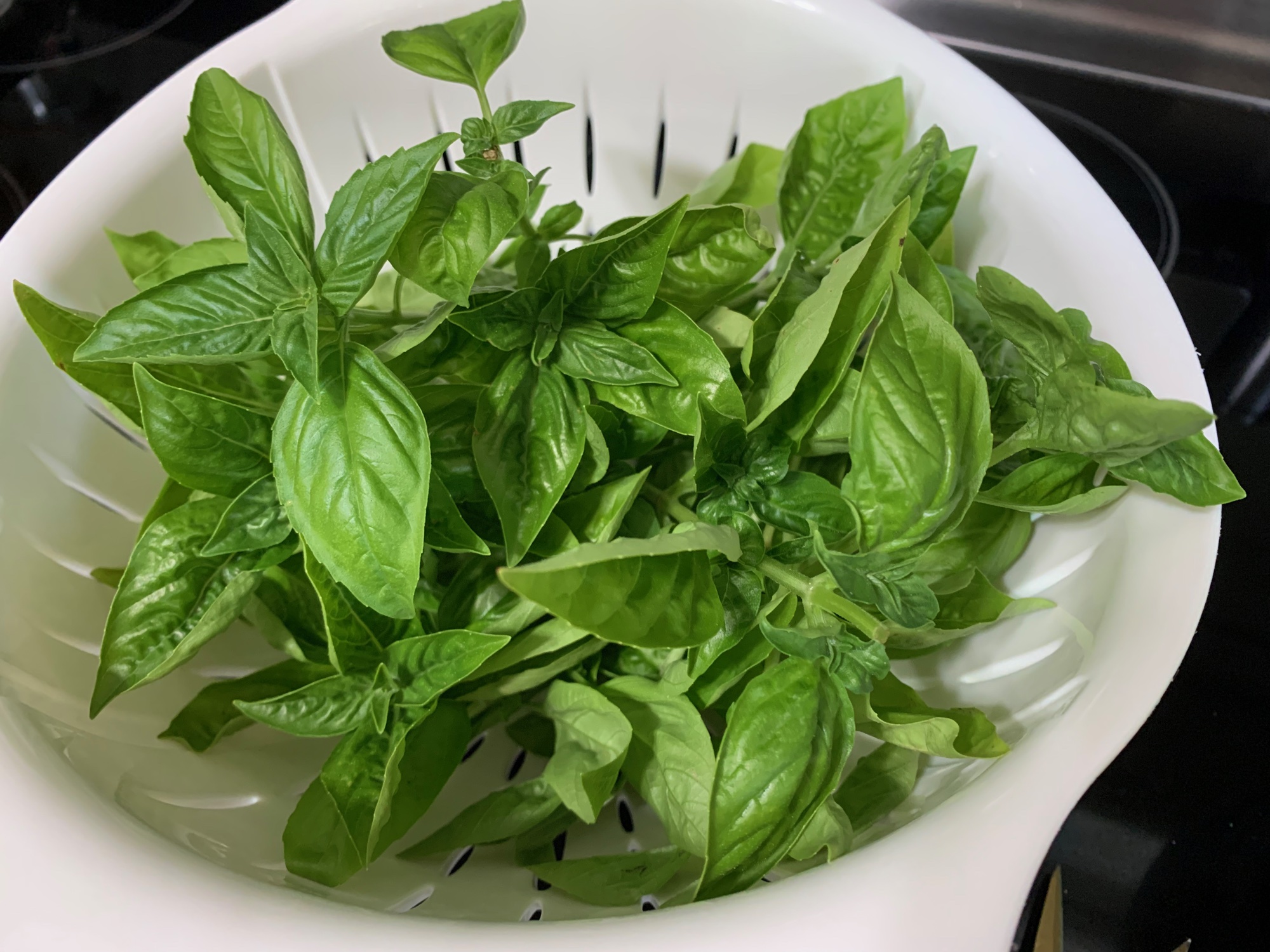 How to Freeze Garden Basil – Hydrangeas Blue