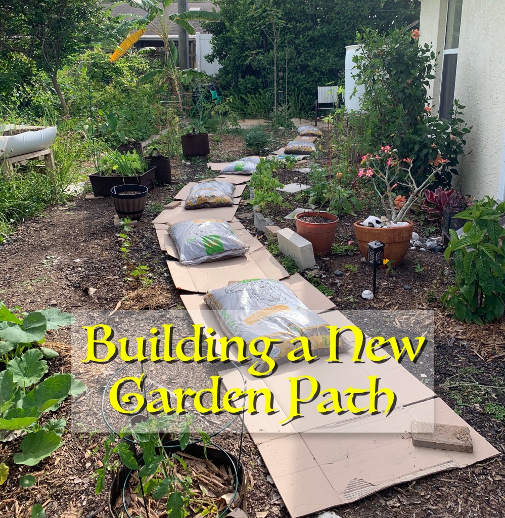 Building a New Garden Path – Hydrangeas Blue