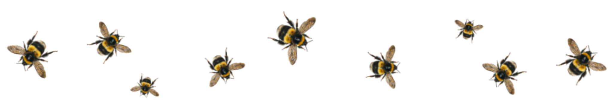 My Three Vegega Metal Raised Beds Are Ready! – Hydrangeas Blue